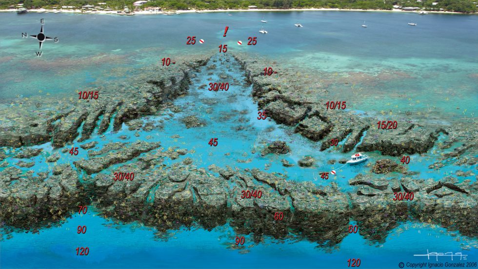 Dive Sites • Roatan Encounters, Bay Islands, Honduras